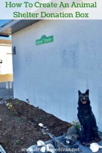 How To Create An Animal Shelter Donation Box | Drugstore Divas