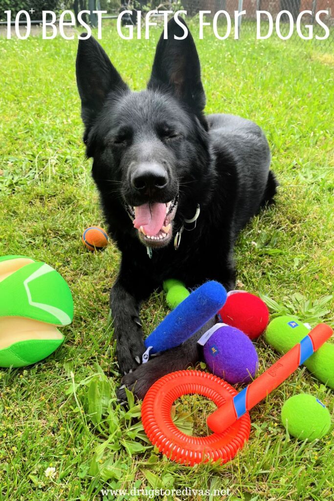 10+ Best Gifts For Dogs | Drugstore Divas