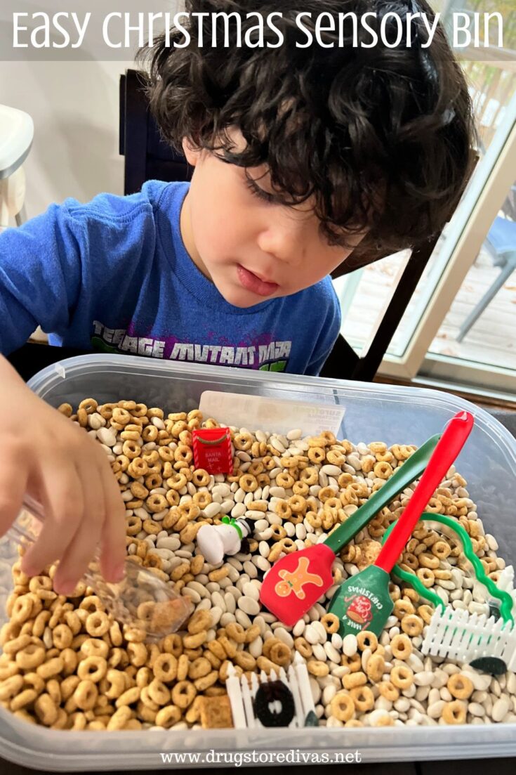 Easy Christmas Sensory Bin | Drugstore Divas