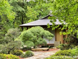 Sarah P. Duke Gardens: Everything you need to know | Drugstore Divas