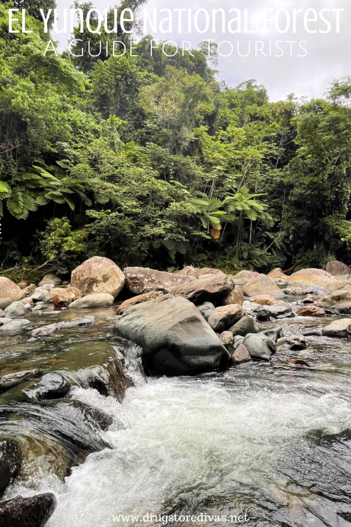 El Yunque National Forest: A Guide For Tourists | Drugstore Divas