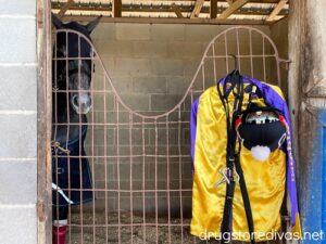 Elloree Trials Horse Race: Everything you need to know | Drugstore Divas