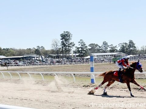 Elloree Trials Horse Race: Everything you need to know | Drugstore Divas